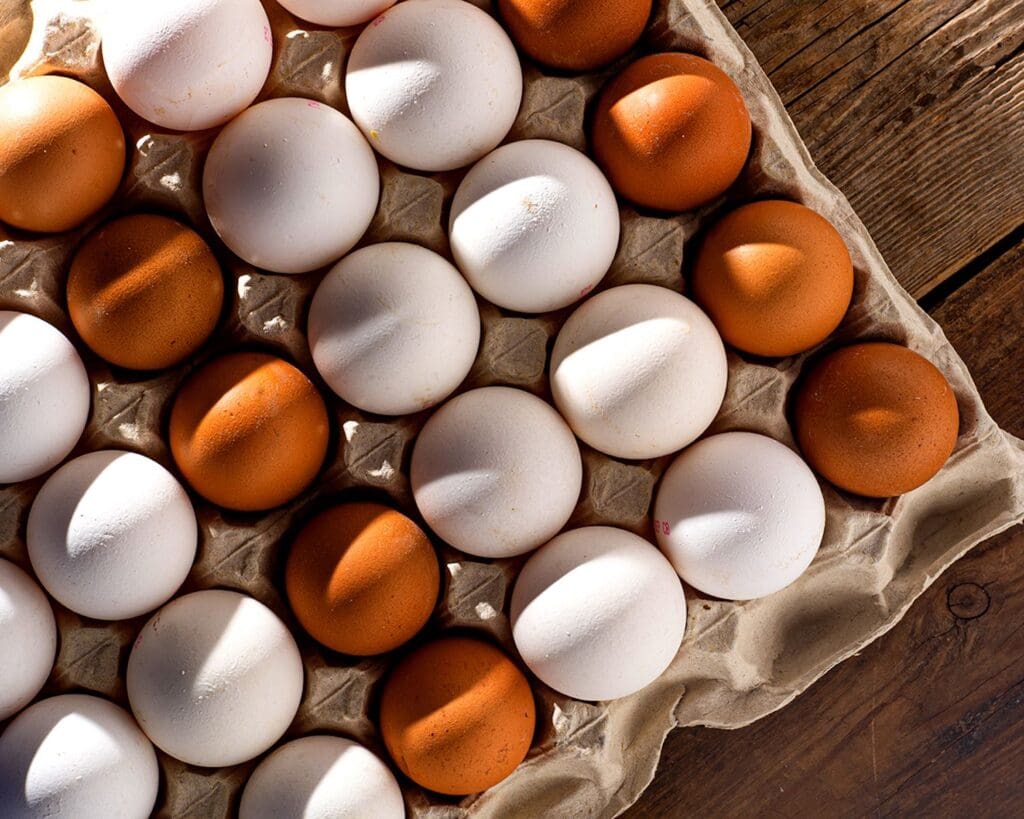Egg Price Index & Forecasts - IOSCO Assured | Expana
