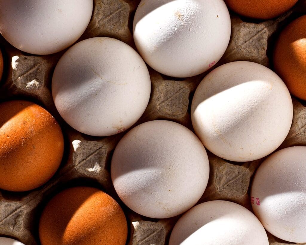 H2 2024 Egg market trends: A look into global agrifood commodities - Expana