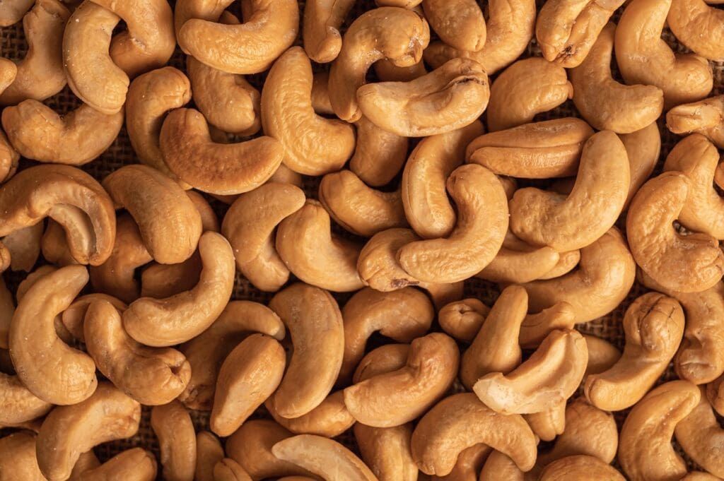 Cashew Prices Rise as Global Supply Tightens and Demand Remains Strong