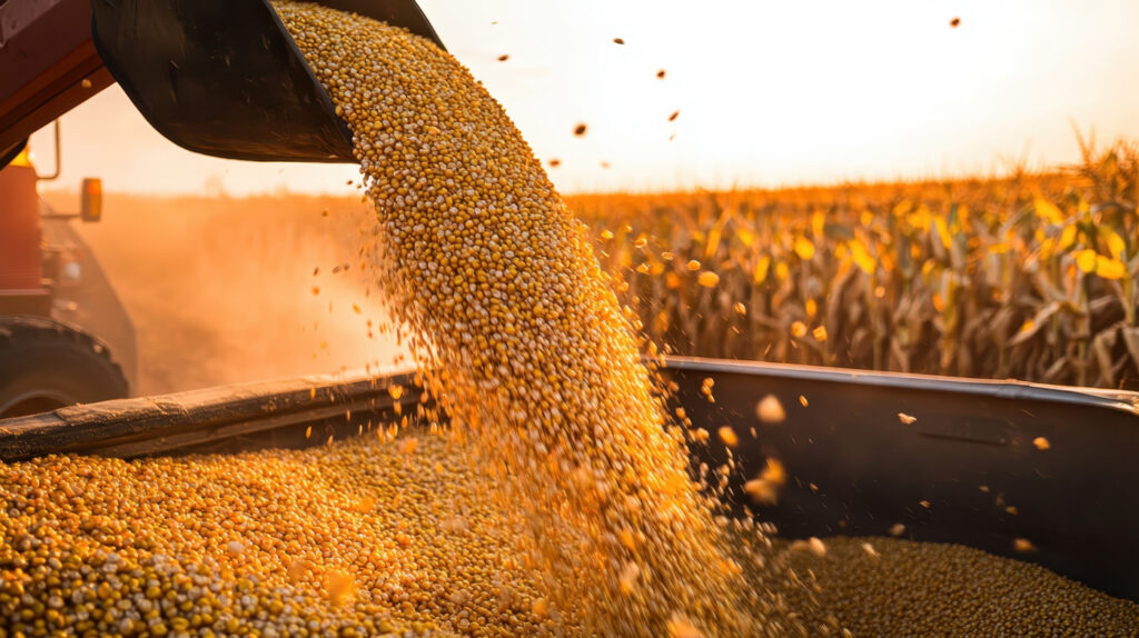 Corn Commodity Prices & Forecasts | Expana